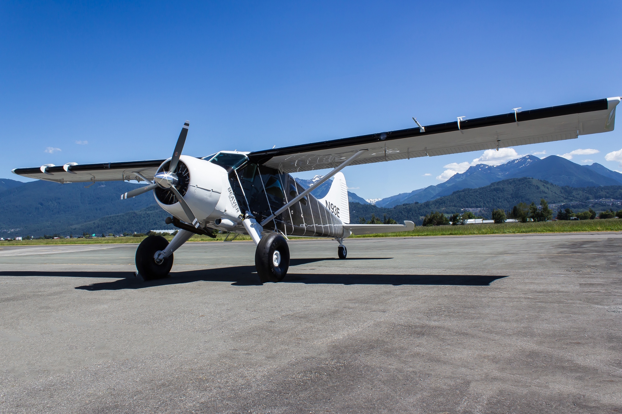 Beaver DHC-2 Paint (11) – Upper Valley Aviation